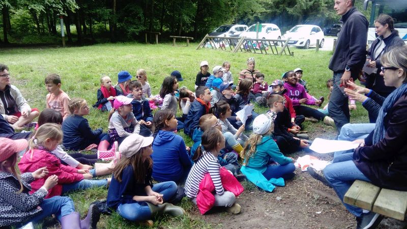 Les CE1 en forêt de Crécy en Ponthieu